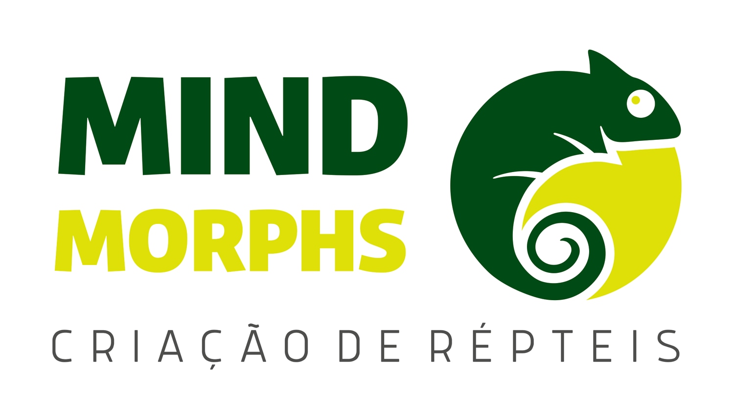 Ball Python Clutch: 2021/PExPhC-1 by Mind-Morphs captivity breeding project - MorphMarket