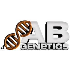 AB Genetics - MorphMarket