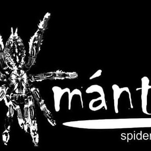 Acromantula Spider - MorphMarket