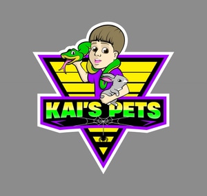 Orange Dream Spotnose Calico Fire Yellowbelly Ball Python by Kai's Pets ...