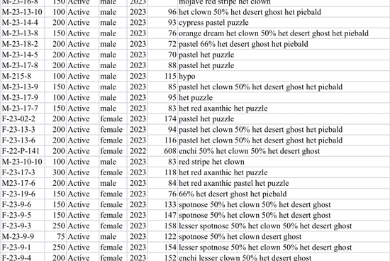 87 Ball Pythons Wholesale List by Selective Reptiles