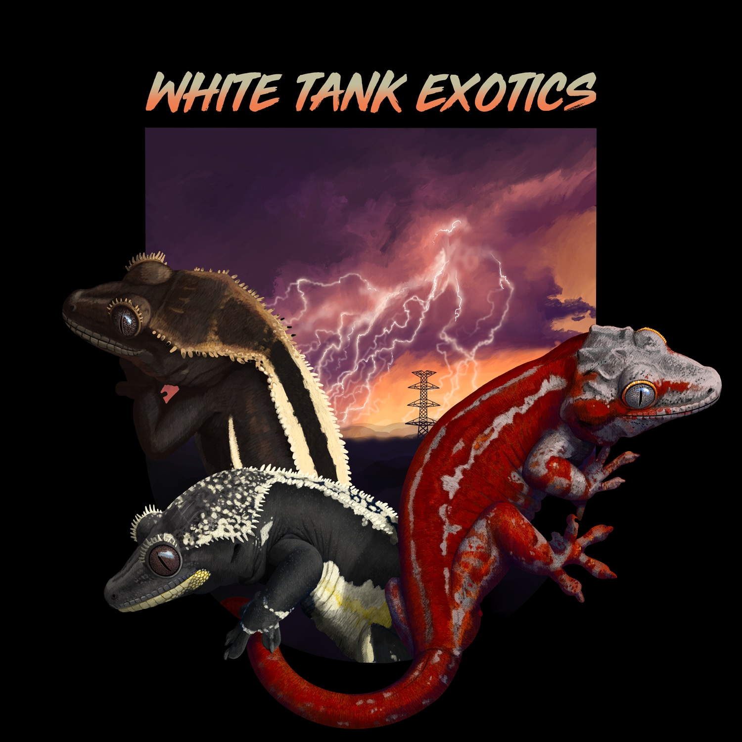 Crested Gecko Clutch: Pairdals by White Tank Exotics - MorphMarket