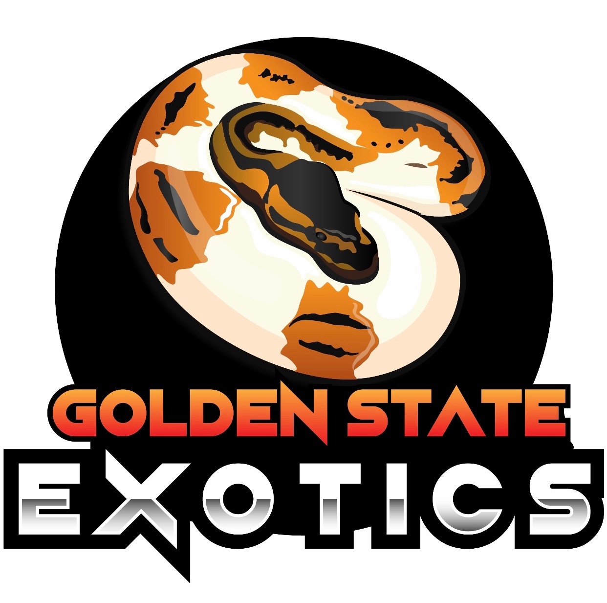 Golden State Exotics's Collection - MorphMarket