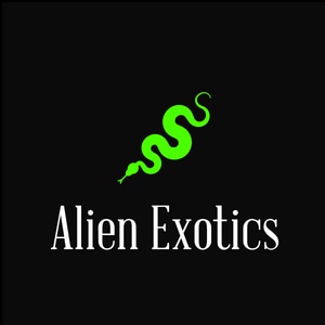 Alien Exotics - MorphMarket