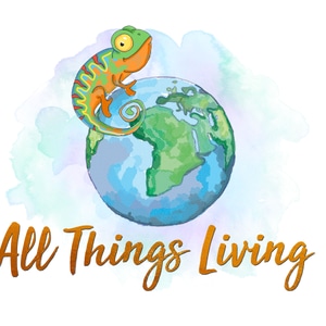 All Things Living - MorphMarket