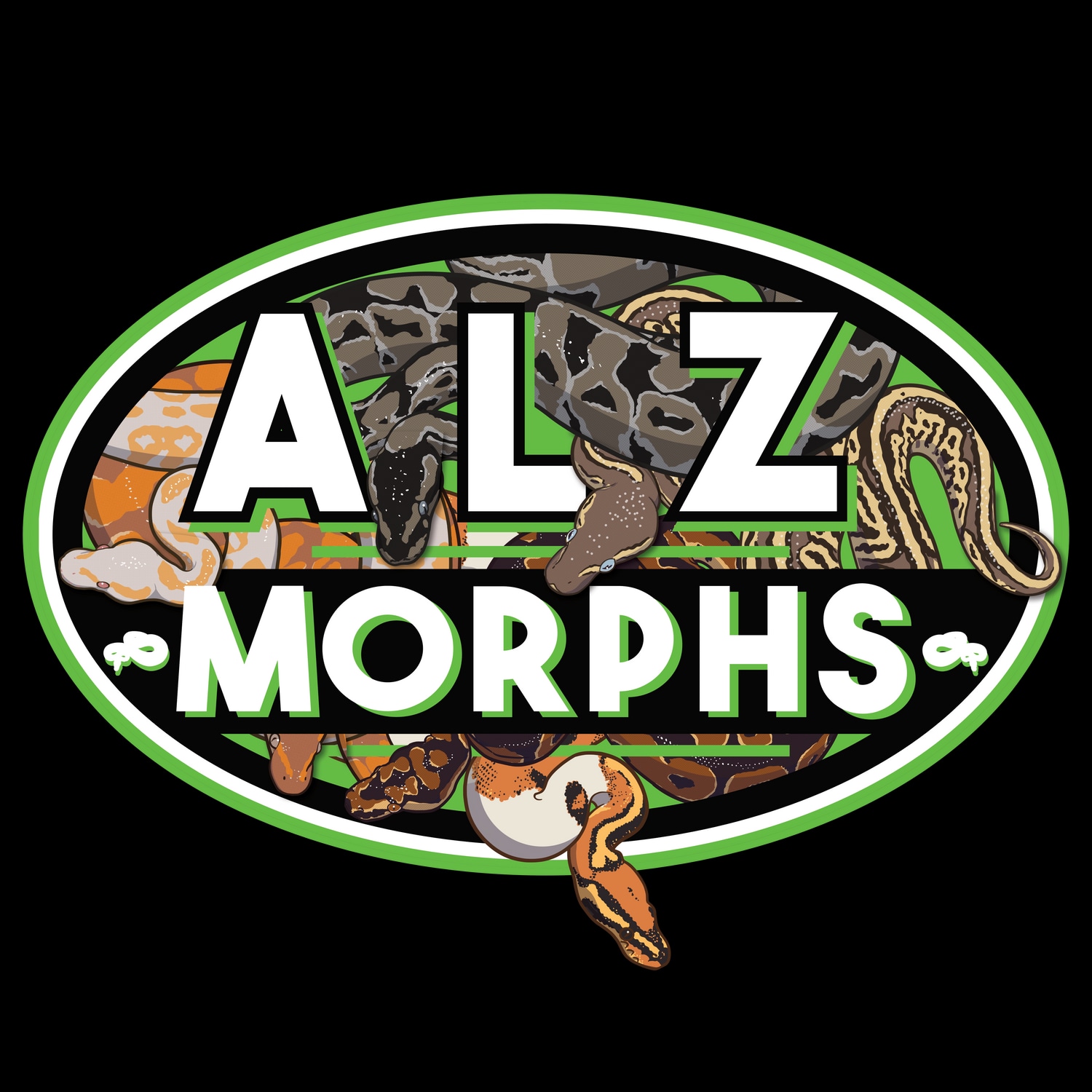 Ball Python Clutch: 40 by ALZ Morphs - MorphMarket