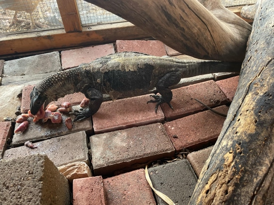 Black Rough Neck Black Roughneck Monitor by American Enclosures