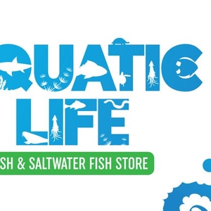 Aquatic Life,LLC - MorphMarket