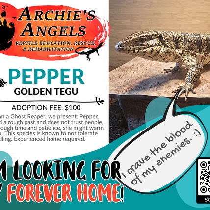 Archie's Angels's: Reptile Education, Rescue & Rehabilitation - MorphMarket