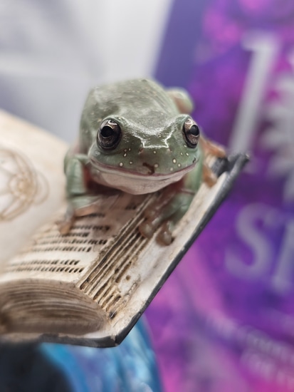 "Spell Jammer" EXACT FROG White's Tree Frog by Arcane Amphibians & Exotics