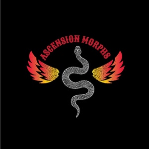 Ascension Morphs - MorphMarket
