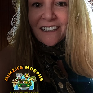 Mimzies Morphs - MorphMarket