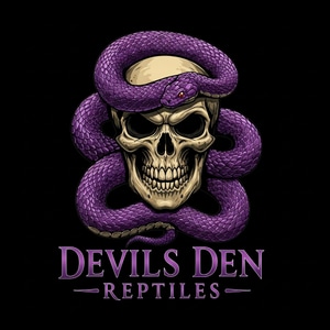 The Devils Den - MorphMarket