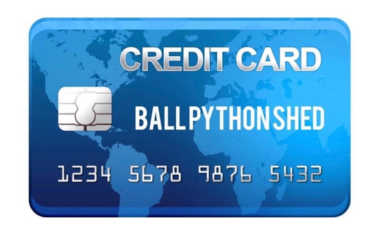 💵 $1500 CREDIT CARD To Use Anytime! Ball Python by Ball Python Shed
