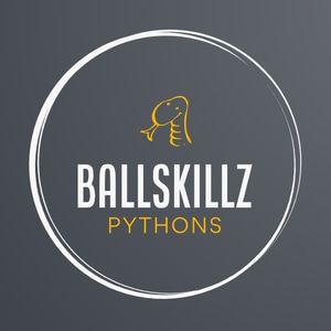 Ballskillz pythons - MorphMarket