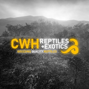 CWH Reptiles + Exotics - MorphMarket