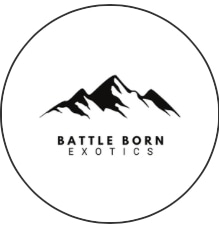 Het Albino Diamondback Terrapin by Battle Born Exotics NV