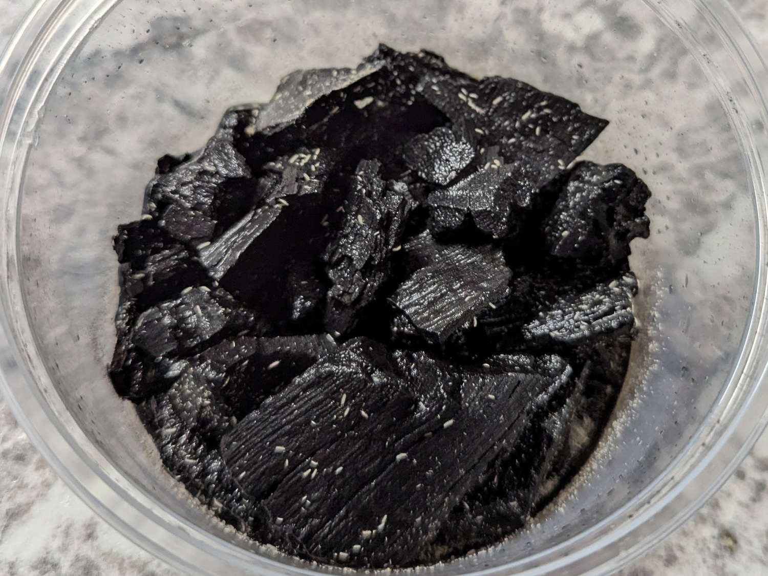 Tropical White Springtail Culture in a 16oz Deli Cup with Charcoal