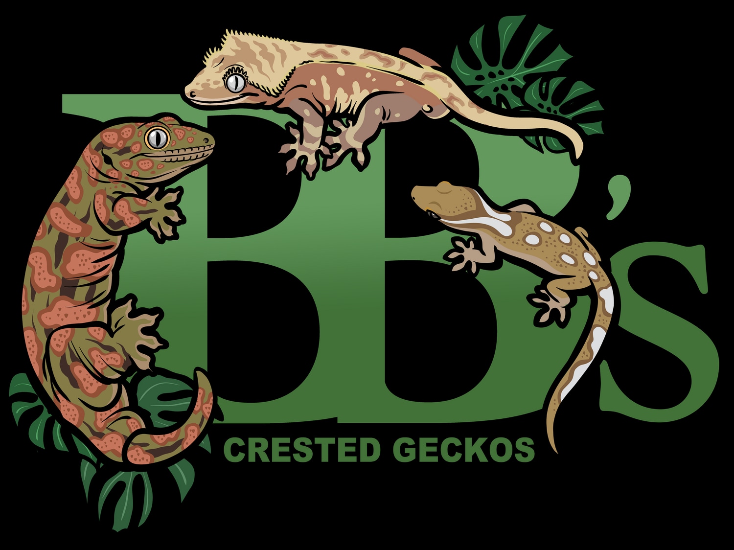 Crested Gecko Clutch: LW10 by BB's crested geckos inc - MorphMarket