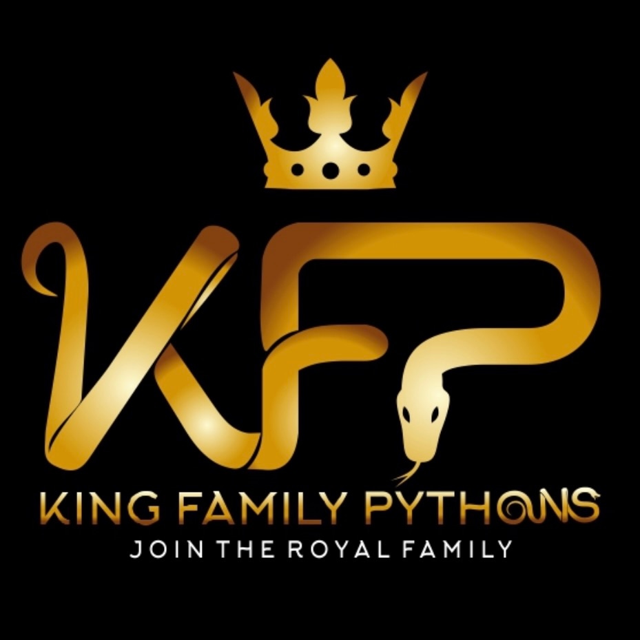 Ball Python Clutch: KFP-2309 by King Family Pythons - MorphMarket