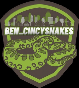 Ben_CincySnakes - MorphMarket