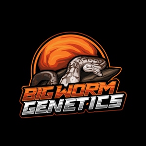 Big Worm Genetics - MorphMarket