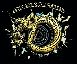 Vanilla Fire Cinnamon Mojave Female (Savannah Cream) Ball Python by ...