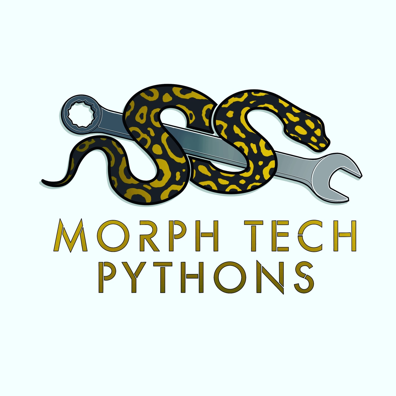Ball Python Clutch: 5 by Morph Tech Pythons - MorphMarket
