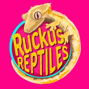 Ruckus Reptiles - MorphMarket