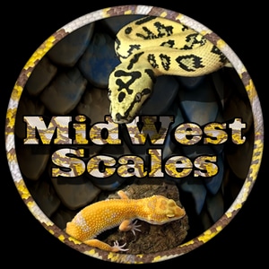 MidWest Scales - MorphMarket