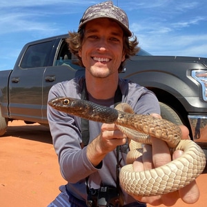 BNExotics - MorphMarket