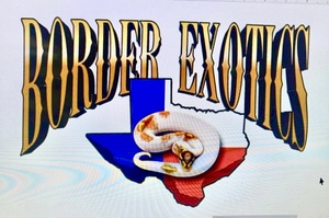 Border Exotics - MorphMarket