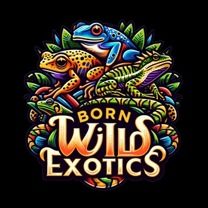 Born Wild Exotics - MorphMarket