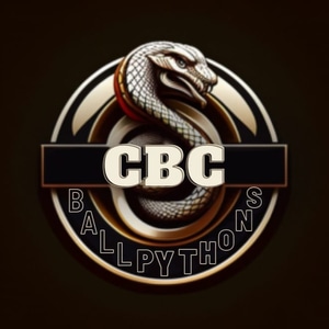 CBC Ball Pythons - MorphMarket