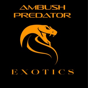 Ambush Predator Exotics - MorphMarket