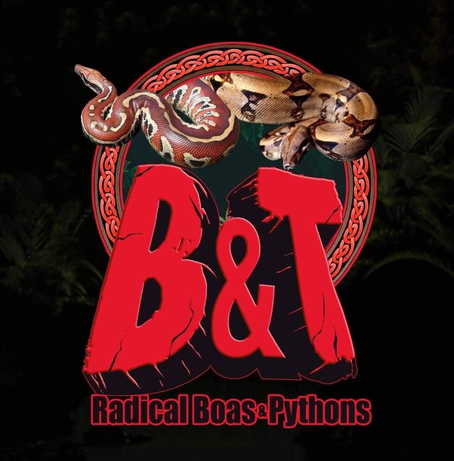 B&T’s Radical Boas & Pythons's Collection - MorphMarket