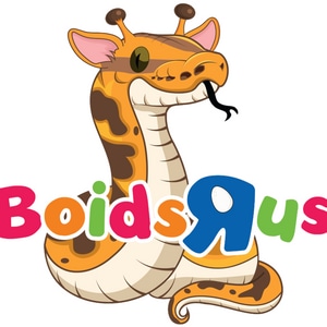 Boids R US - MorphMarket