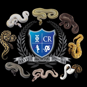 Elite Morph Designs - MorphMarket