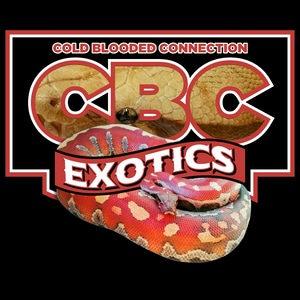 Cold Blooded Connection Exotics - MorphMarket