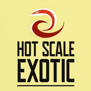 HotScale Exotic - MorphMarket