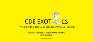 Cde Exotics - MorphMarket