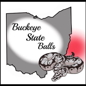 Buckeye State Balls - MorphMarket