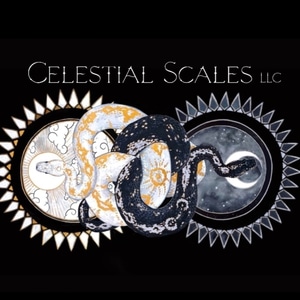 Celestial Scales LLC - MorphMarket