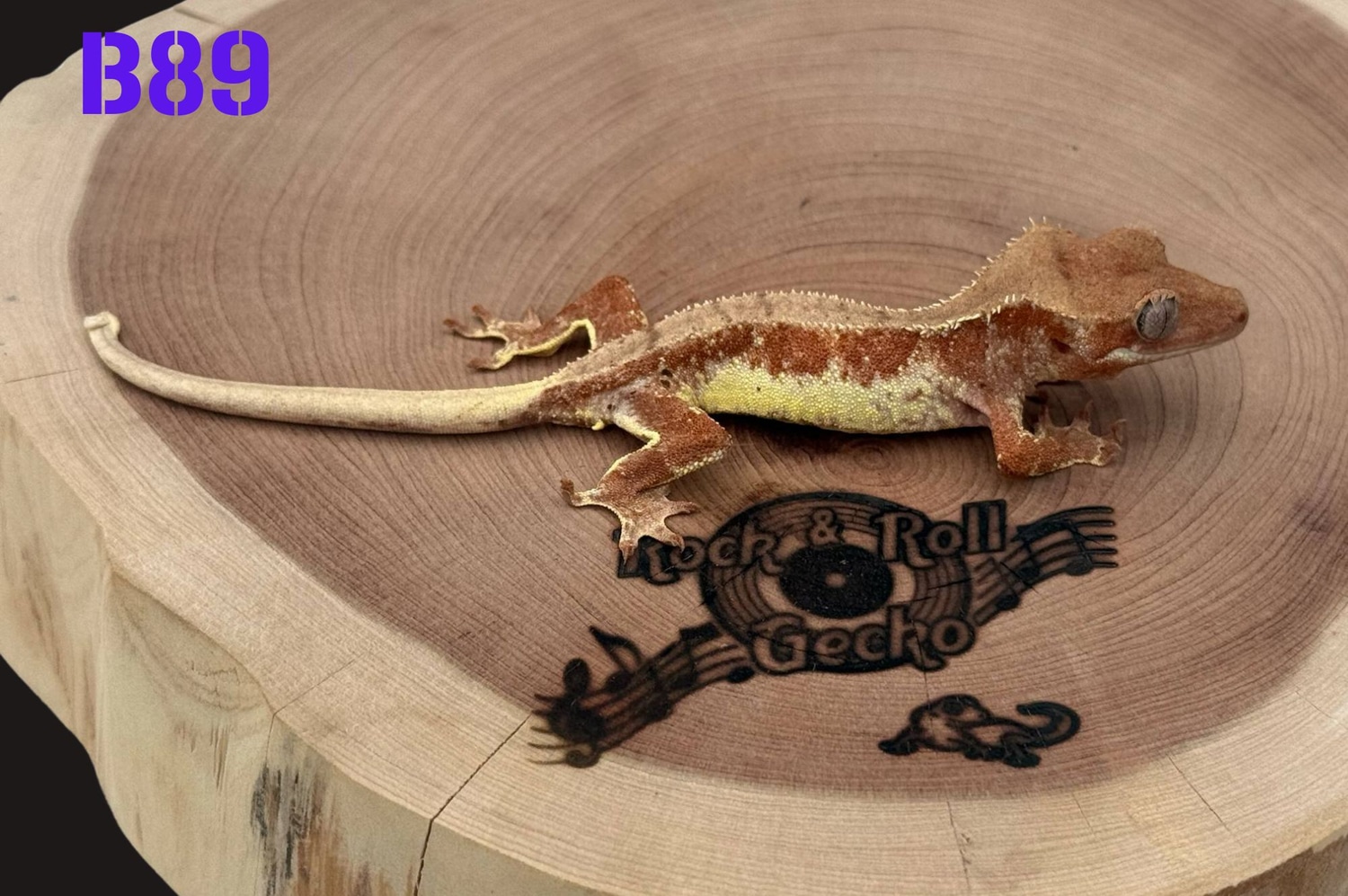 B89 Red Pantom Lily White 66% het Axanthic **HOLDBACK RELEASE**