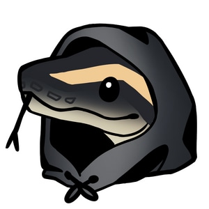 Hooded Pythons - MorphMarket