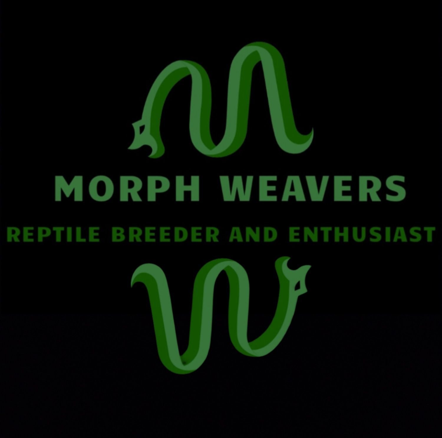 Morph Weavers's Collection - MorphMarket