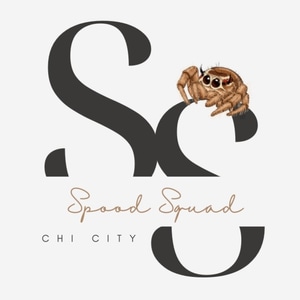 Chi City Spood Squad - MorphMarket