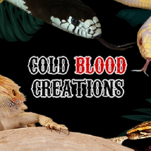 Cold Blood Creations - MorphMarket