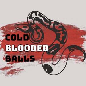 Cold Blooded Balls - MorphMarket