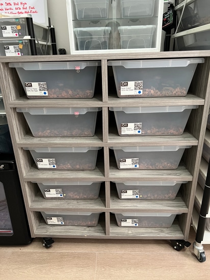 LP40 Rack & Group Of 8 Available Ball Python by AJ Pythons